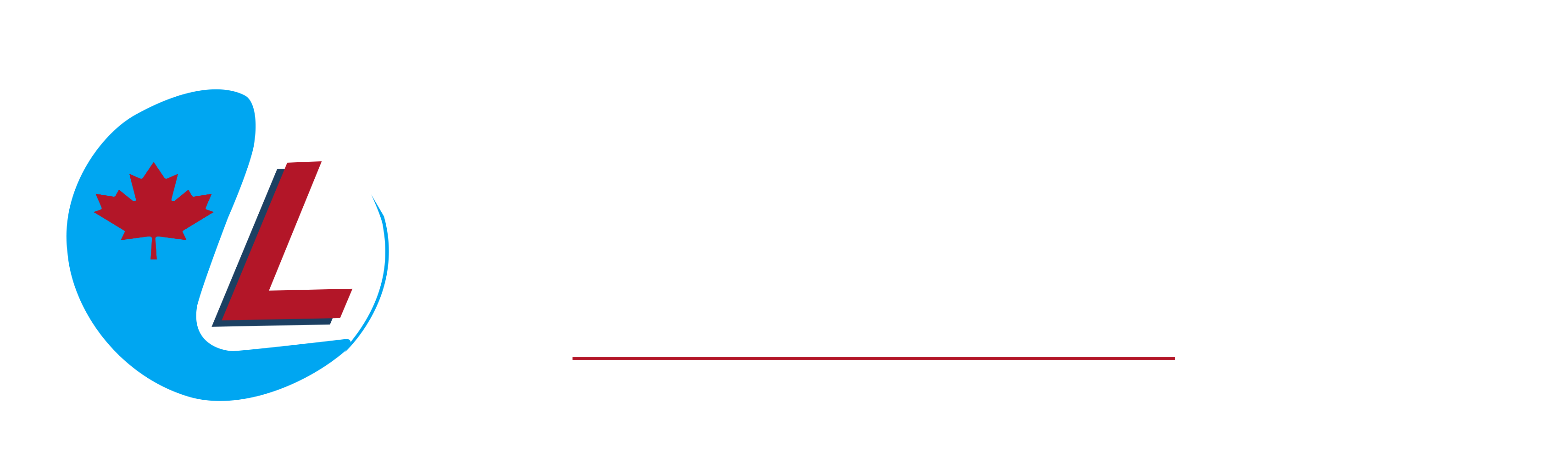 CSM